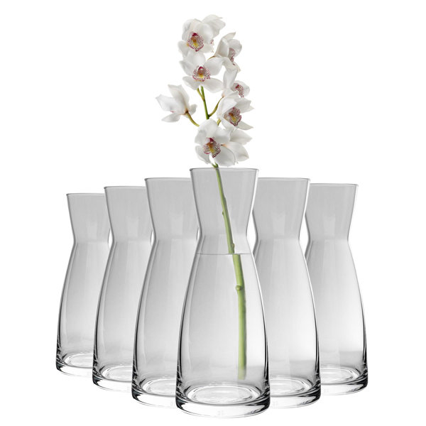 Bormioli Rocco Ypsilon Glass Carafes | Wayfair.co.uk